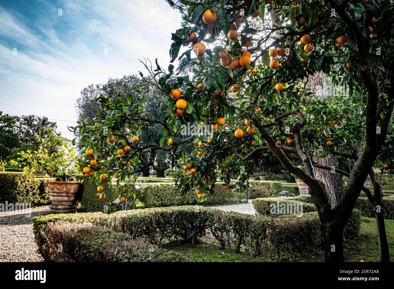 Rome, Italy. 14th Feb, 2025. The Colonna Garden on the Quirinal Hill ...