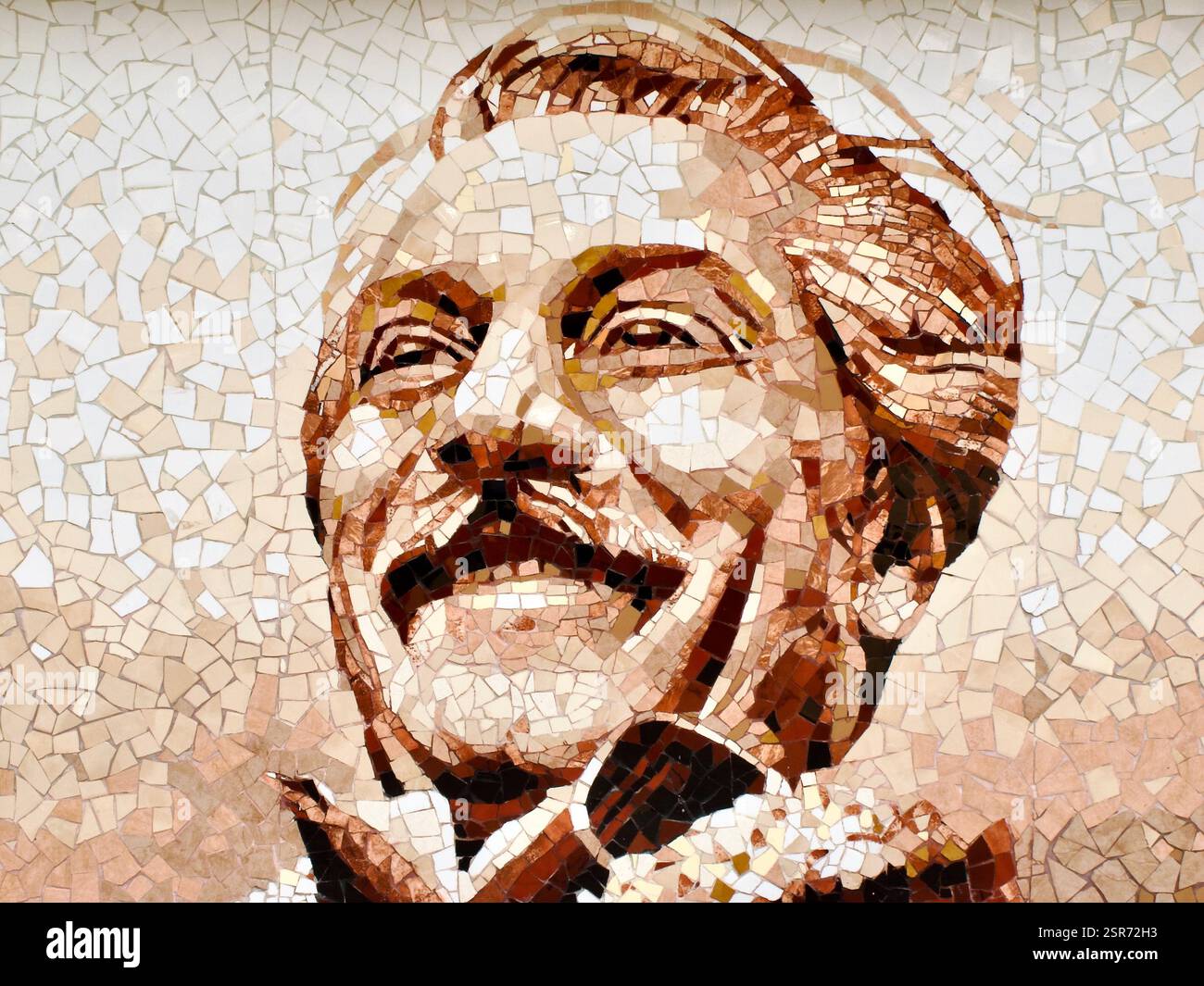 Mosaic portrait of Sheikh Mujibur Rahman at the Teacher-Student Centre ...