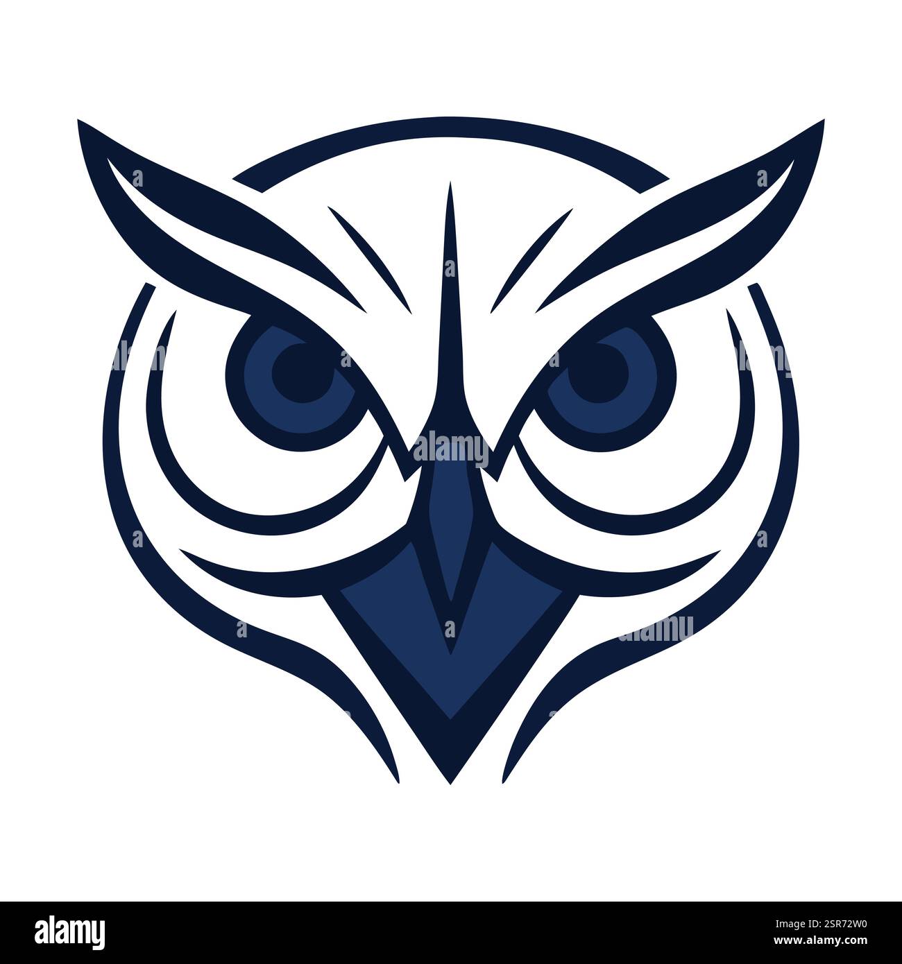 A stylized logo of an owl's face with dark blue and white bold line and ...