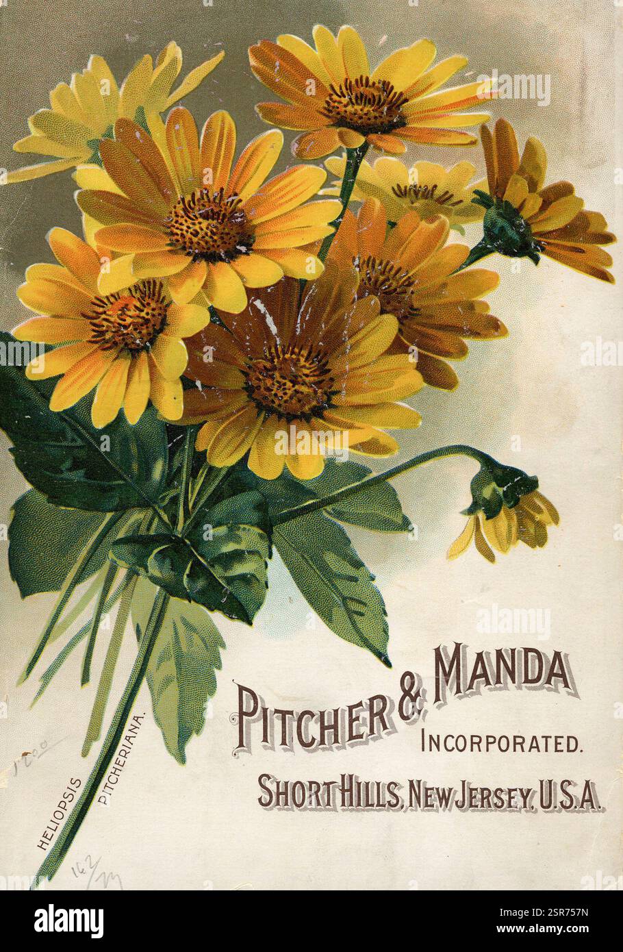 Front Cover by Pitcher & Manda 1800s. This vintage front cover displays ...