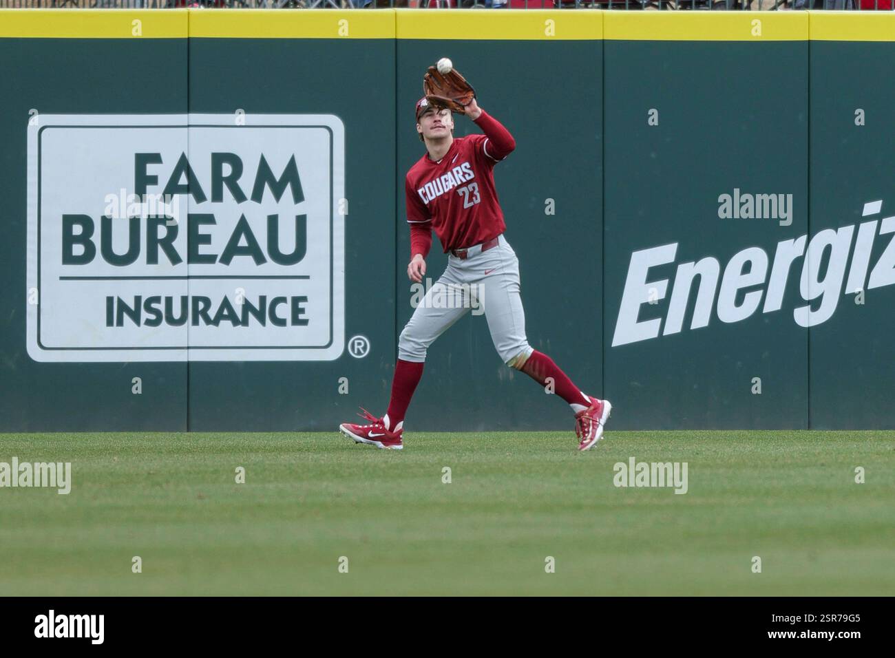 February 14, 2025: Max Hartman (23) Cougars outfielder moves over under ...