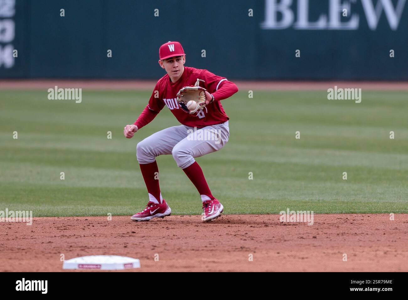 February 14, 2025: Ollie Obenour (8) Washington State infielder settles ...