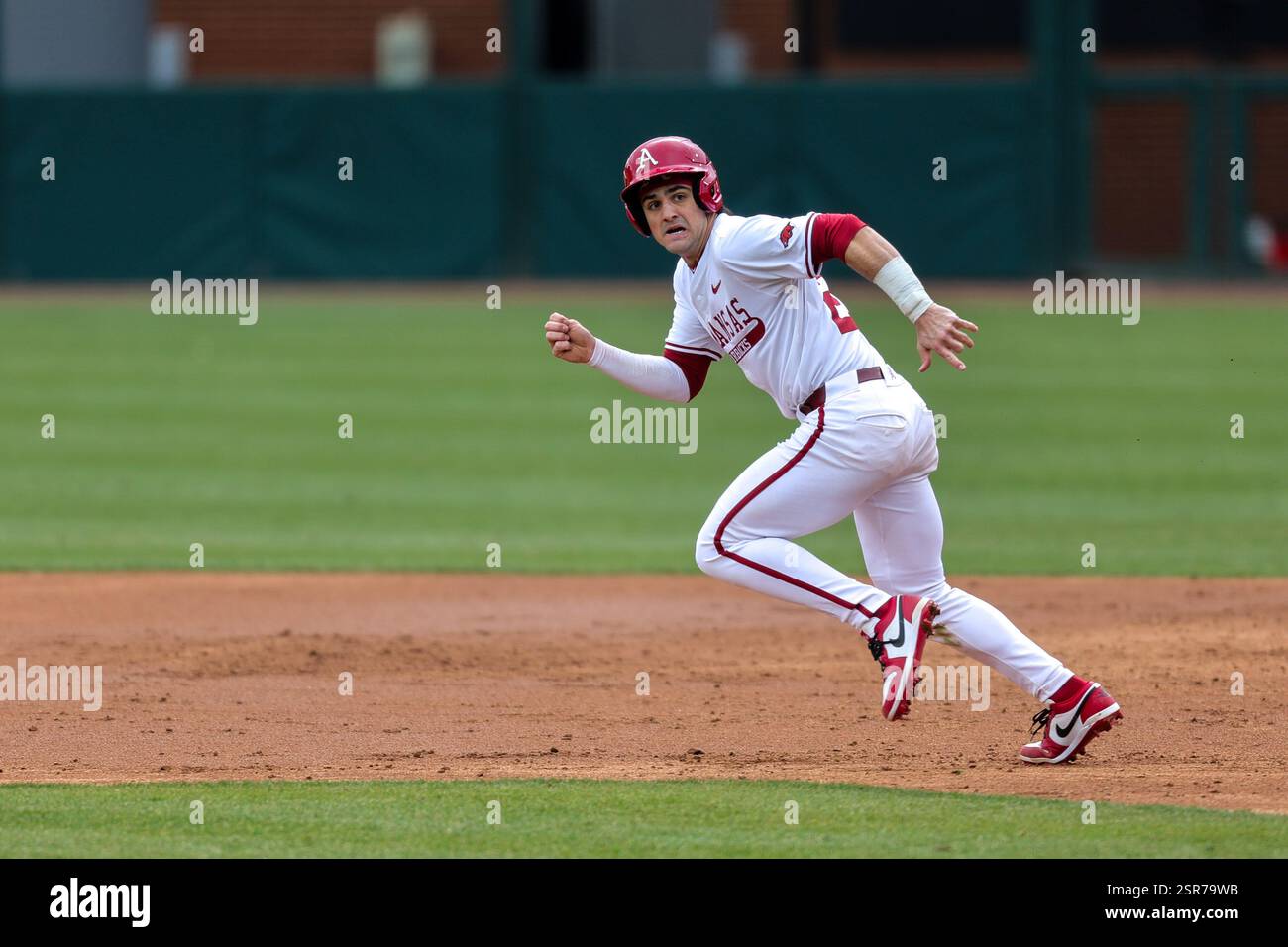 February 14, 2025: Razorback catcher Ryder Helfrick (27) moves between ...