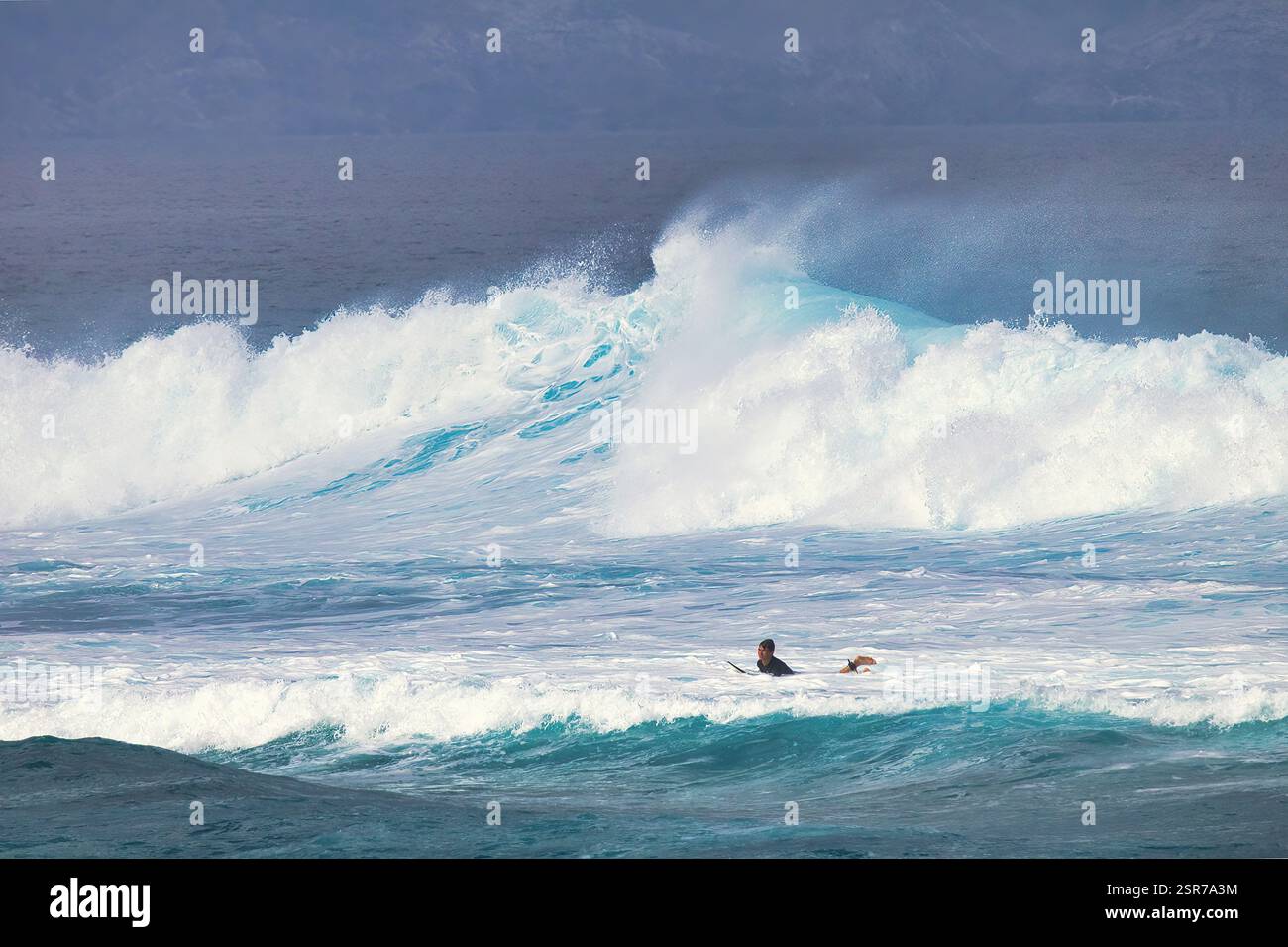 Surfer lying prone on his board getting ready to surf Stock Photo - Alamy
