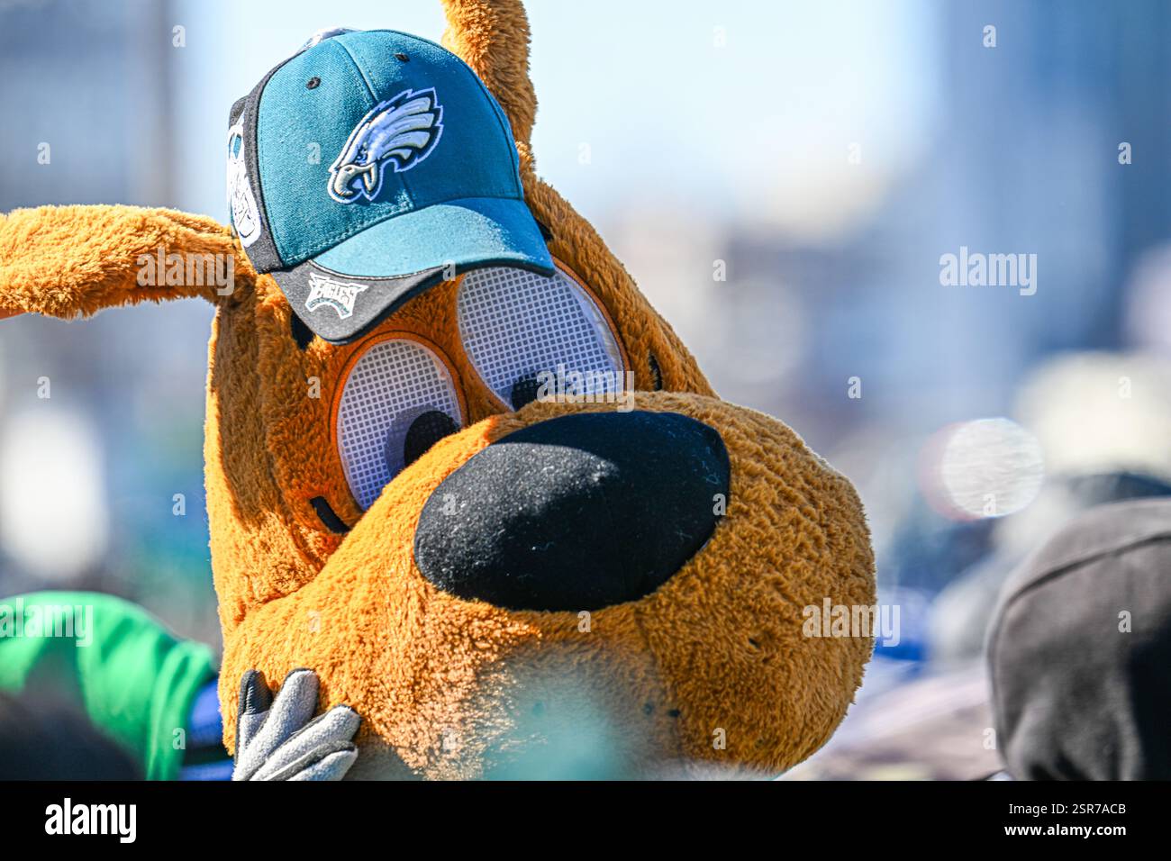 Philadelphia Eagles fans at the Super Bowl parade celebration - NFL ...