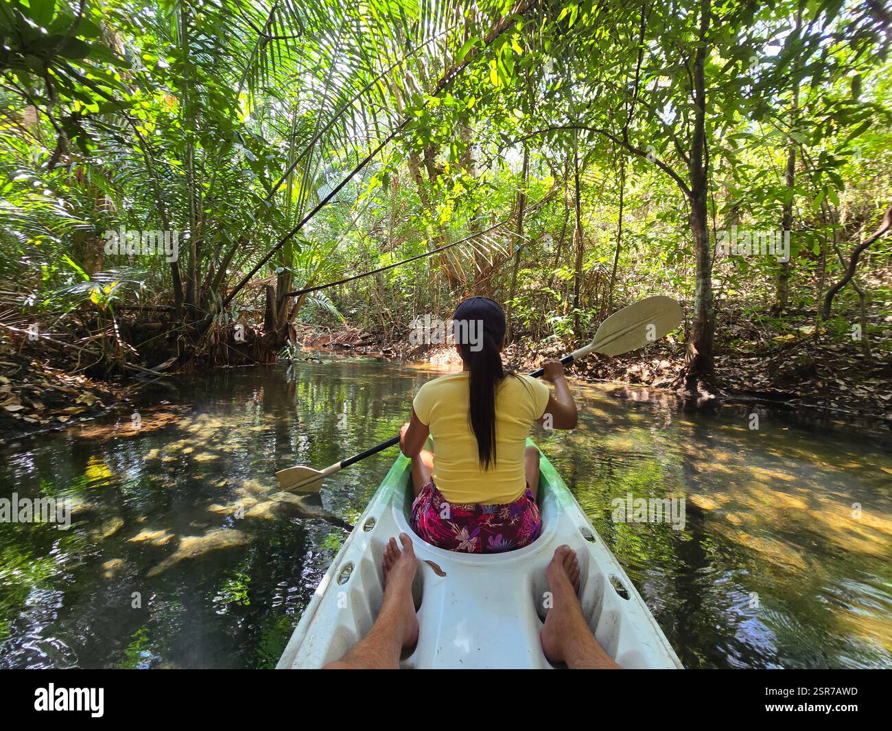 Paddling through the lush greenery of Krabi Thailand, the bright sun through the trees ...