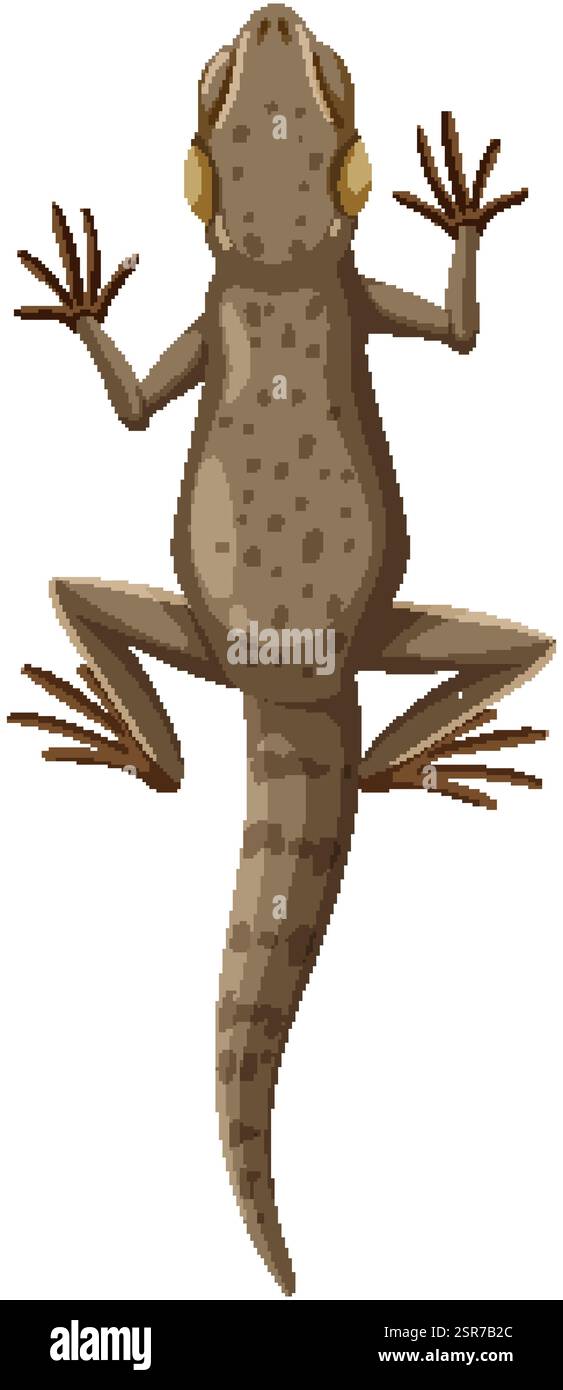 View from above the forest Stock Vector Images - Alamy