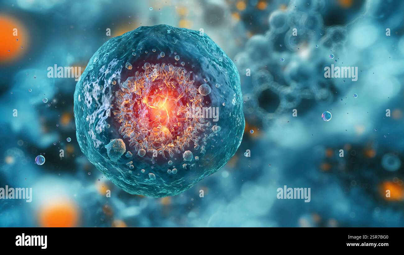 Illustration of a human embryo cell, highlighting key structures such ...
