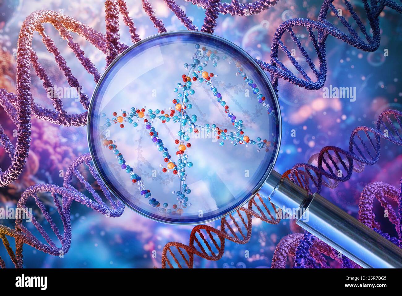 Illustration of the structure of deoxyribonucleic acid (DNA), which ...