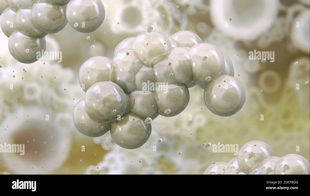 Cocci in clusters hi-res stock photography and images - Alamy