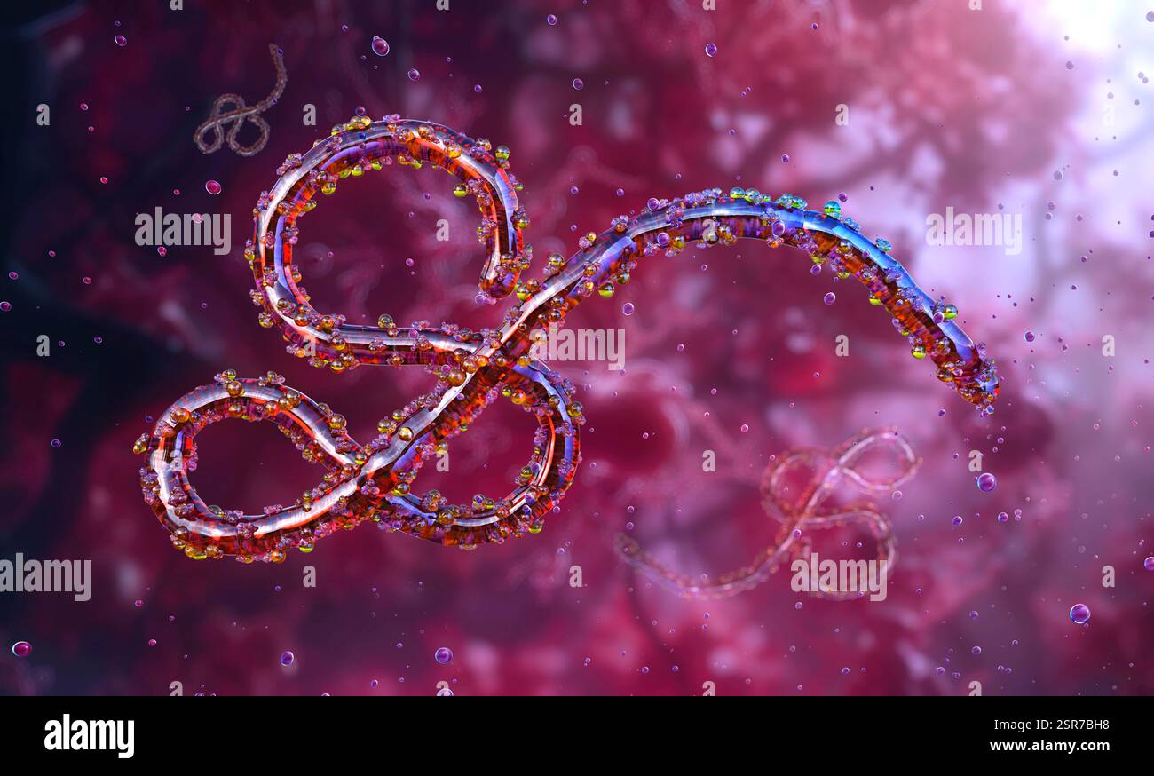 Illustration of the Ebola virus, a deadly pathogen that causes severe ...
