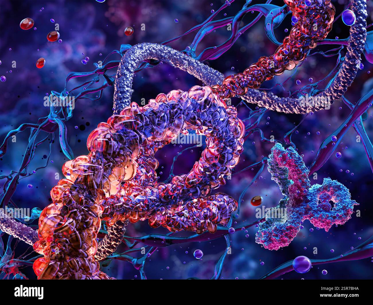 Illustration of protein molecules highlighting the process of protein ...