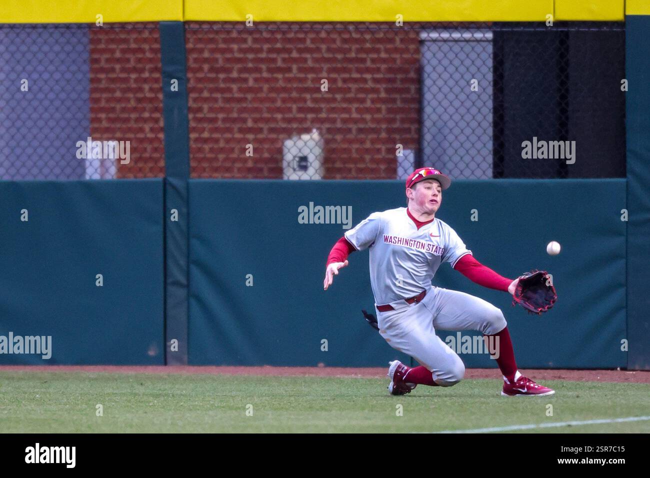 February 14, 2025: Washington State outfielder Logan Johnstone (4 ...