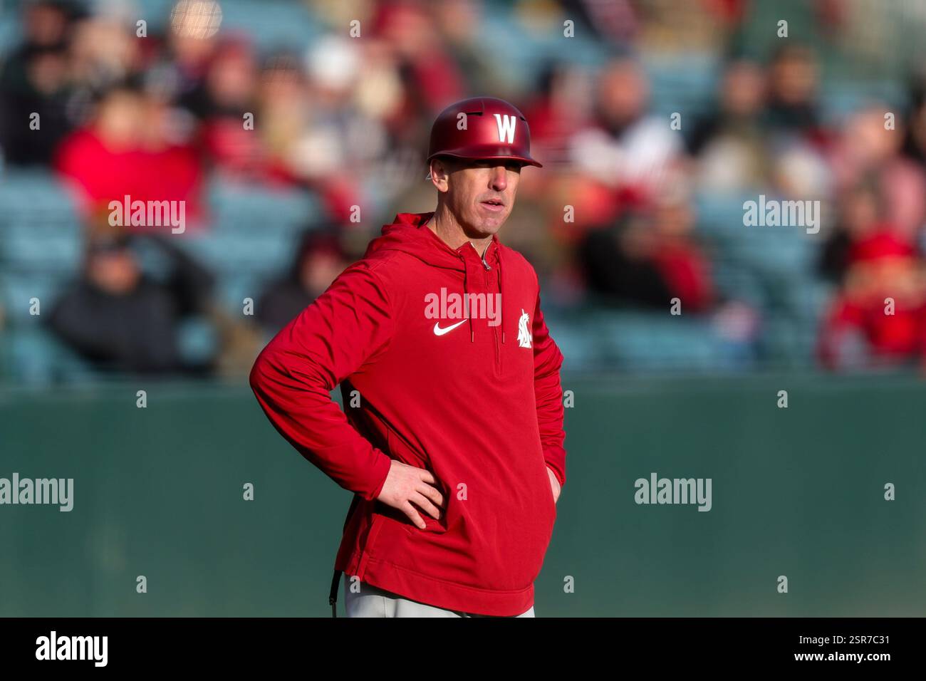 February 14, 2025: Washington State Assistant Coach Eric Hutting looks ...