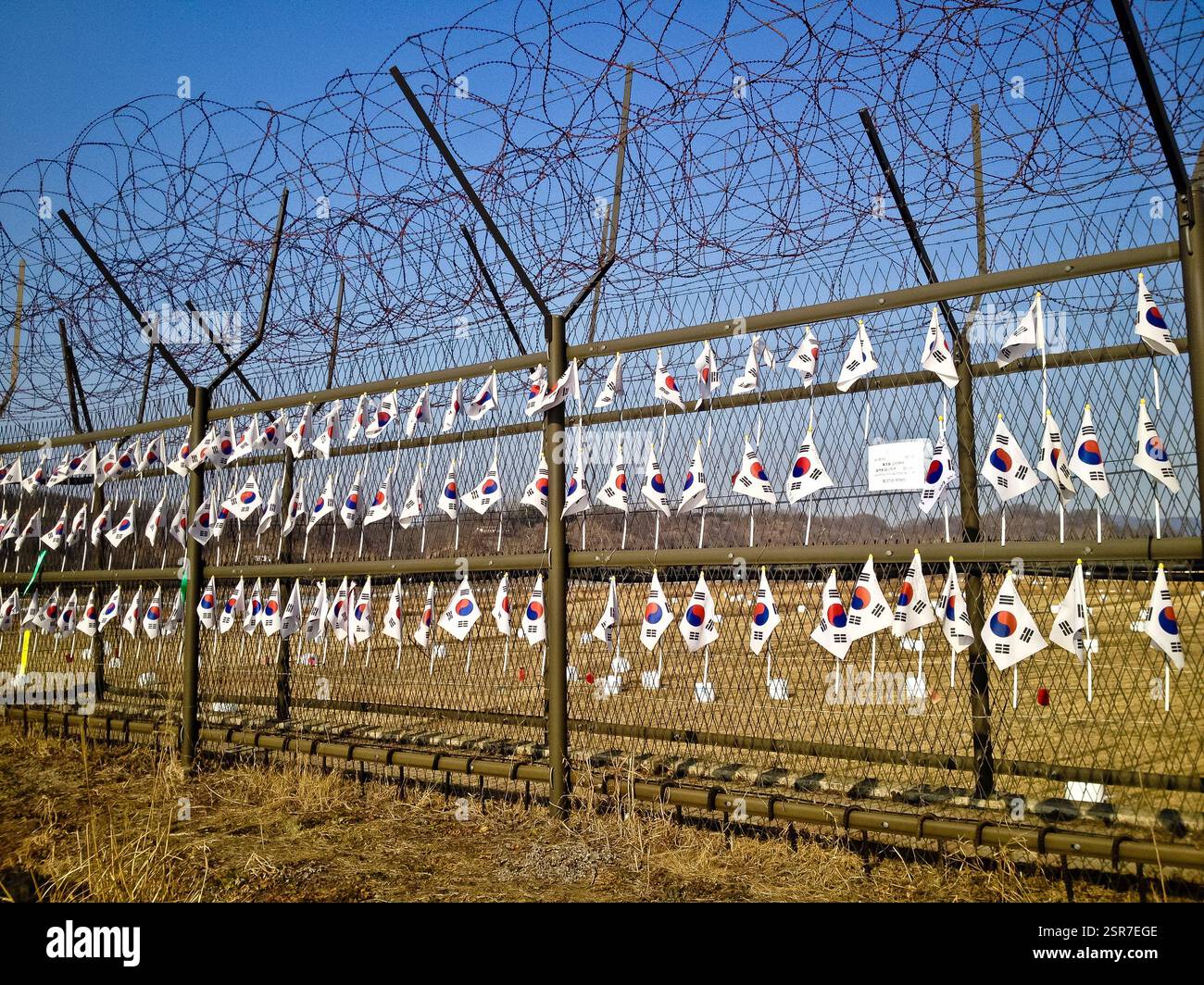 Barbed wire fence numerous South Korean flags tied to it. Many flags ...