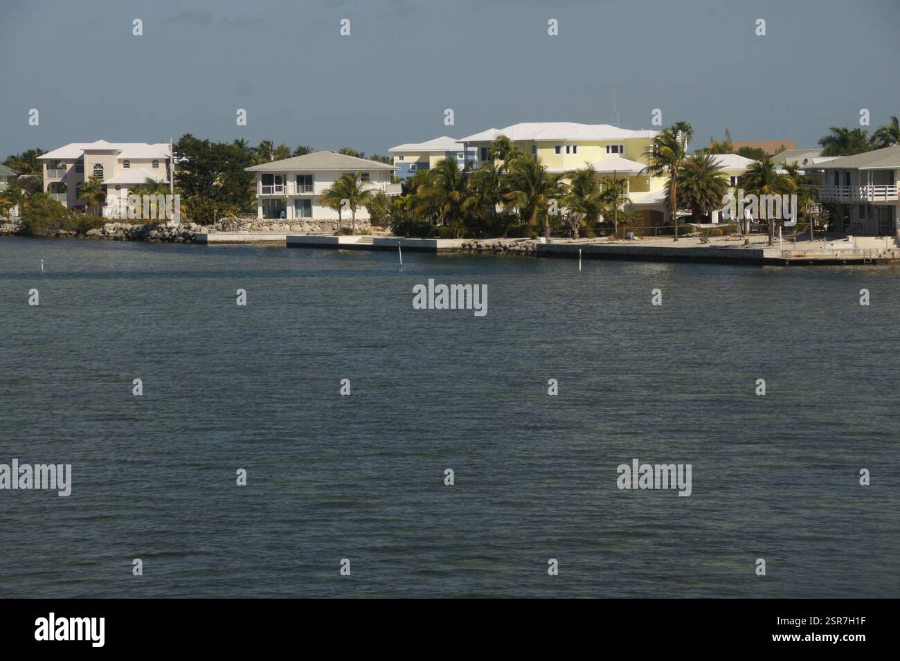 Vibrant Key West oasis. Waterfront homes nestled among swaying palm ...
