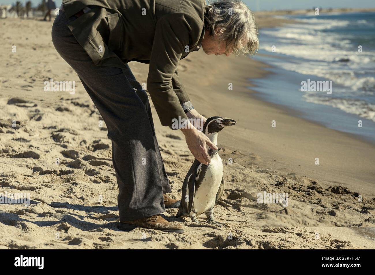 RELEASE DATE: March 28, 2025. TITLE: The Penguin Lessons. STUDIO ...