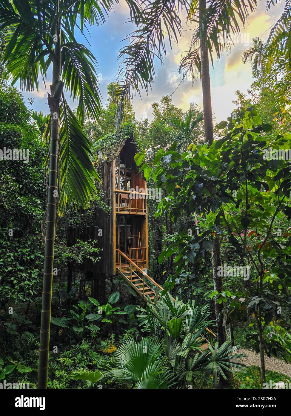 Dramatic wooden cabin structure rises amidst tropical plants and ...