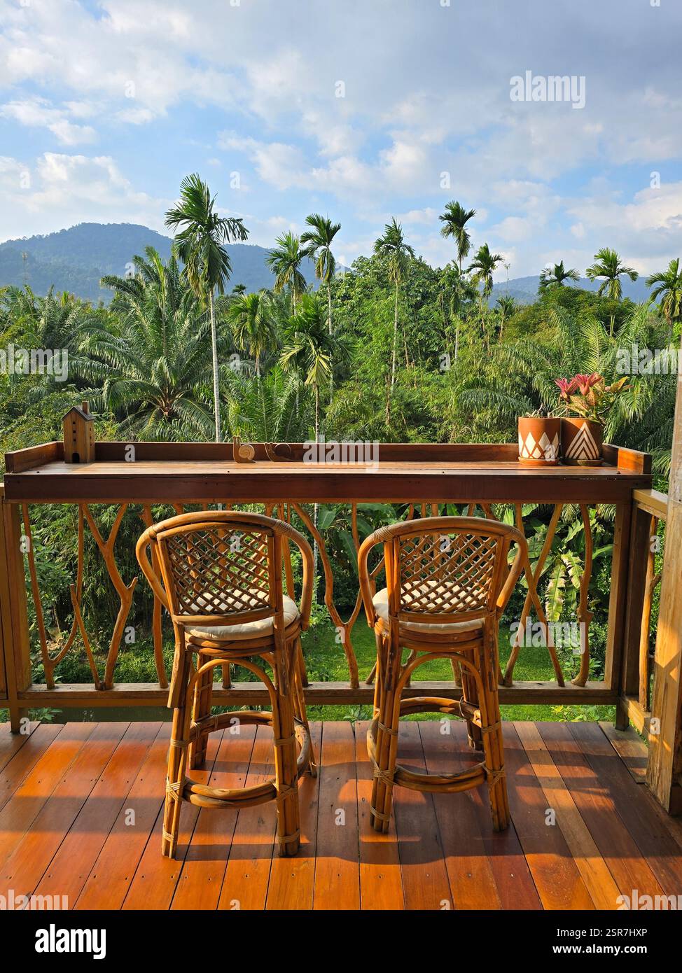 Two meticulously crafted rattan chairs sit on a wooden balcony ...