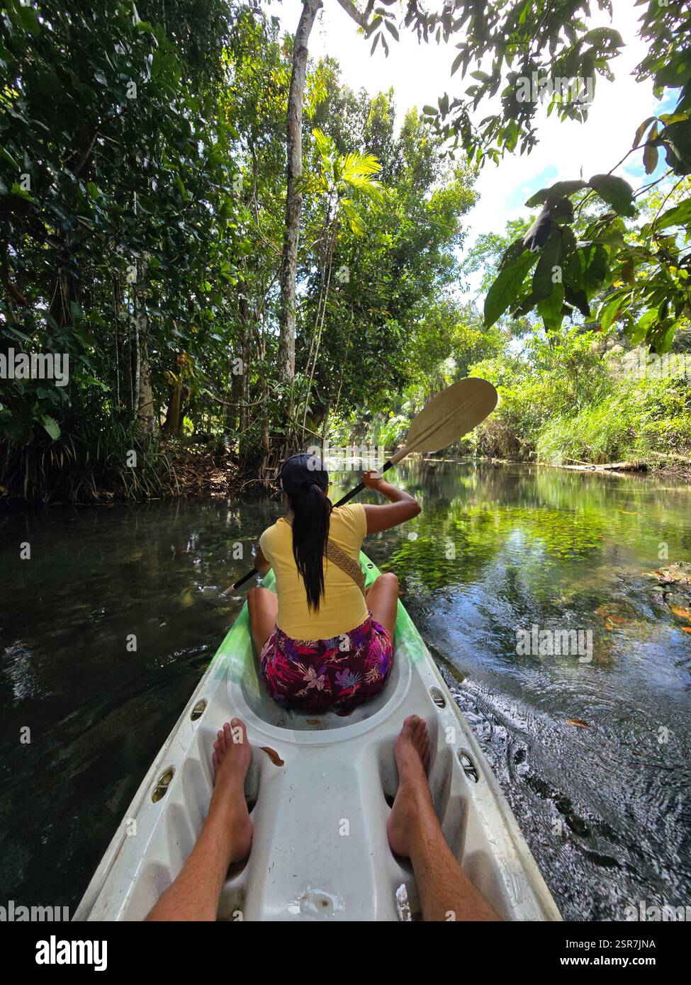 Paddling through the tranquil waters of Krabi, surrounded by vibrant greenery and dappled ...