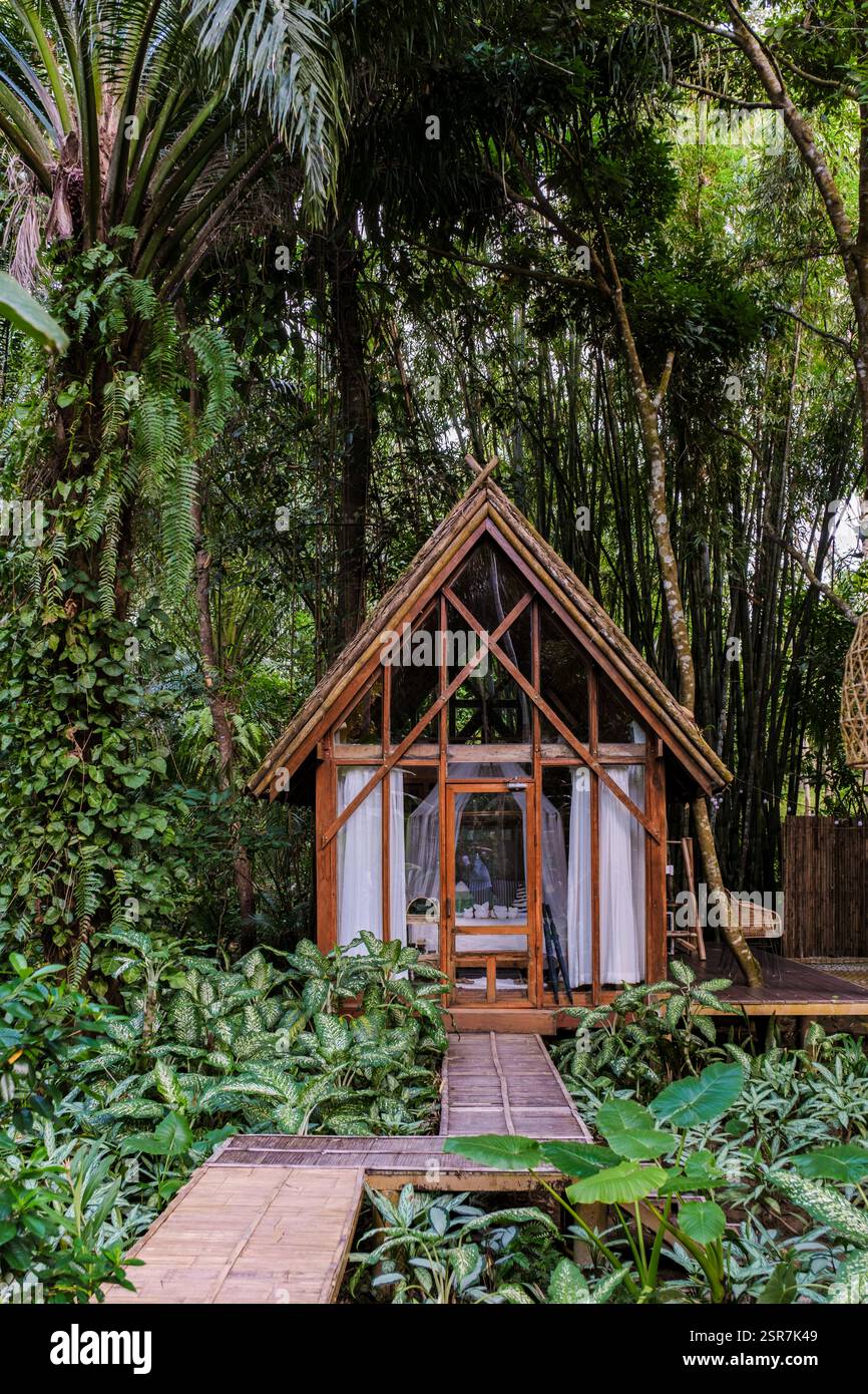 wooden cabin rests in the heart of a vibrant jungle, surrounded by tall ...