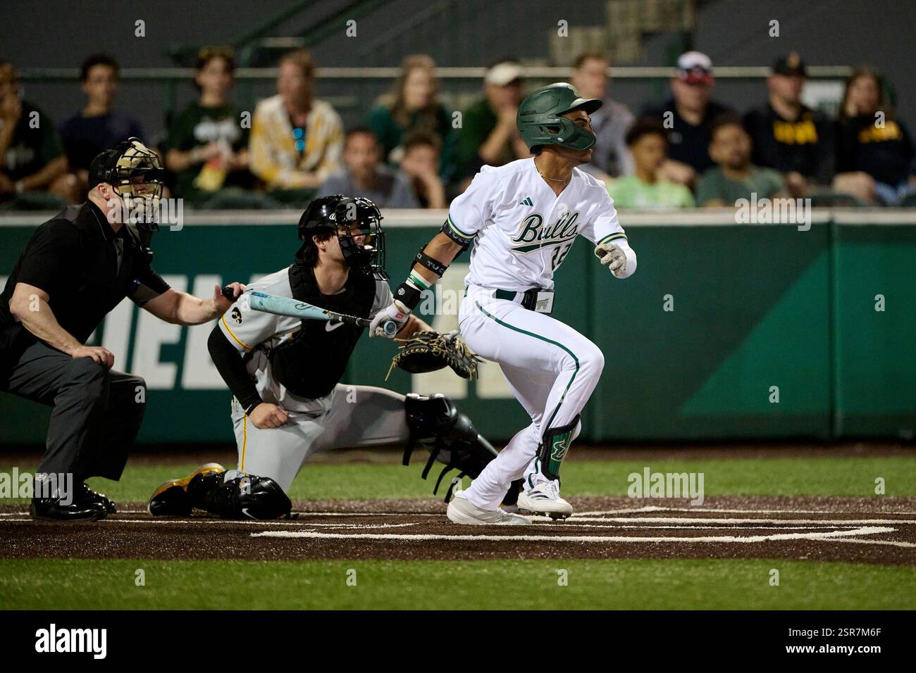 USF Bulls Jacob Green (22) at bat in front of catcher Daniel Rogers (31 ...