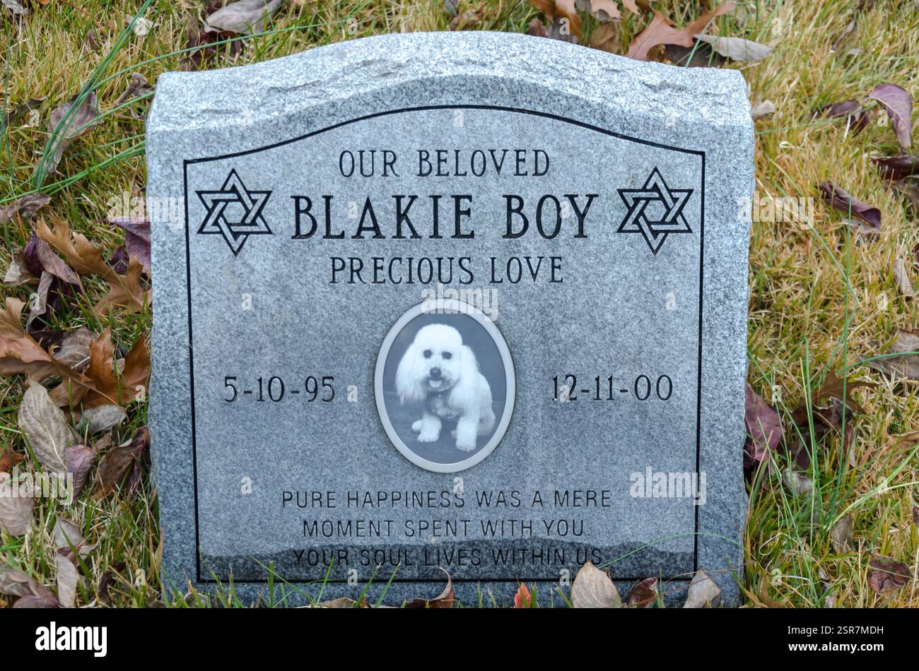 Aspin Hill Pet Cemetery in Maryland where many beloved friends are ...