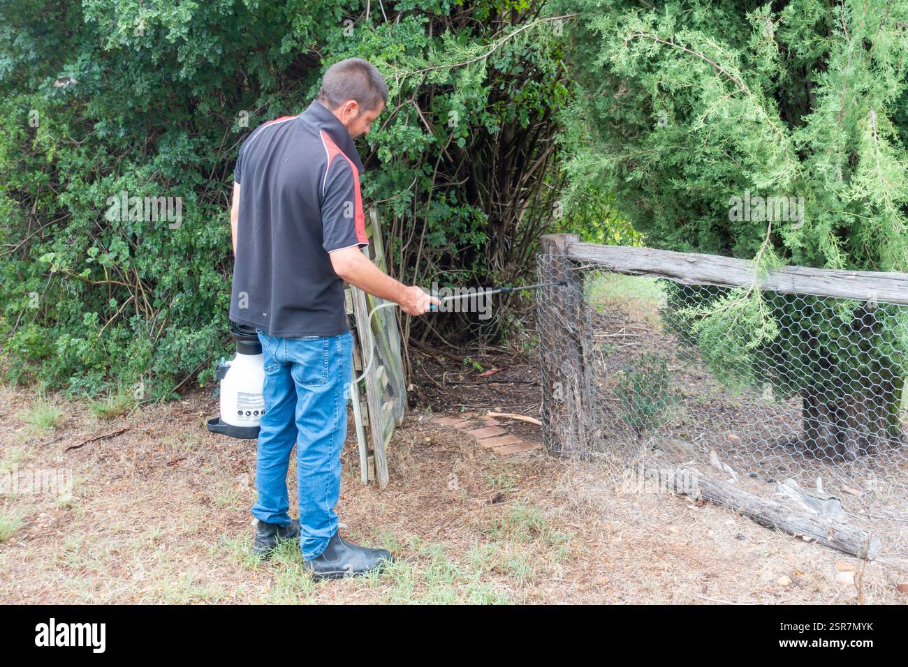 Worker spraying termites in a fence post in rural Australia Stock Photo ...