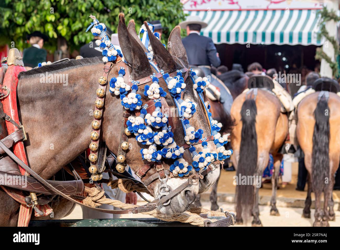 Elegant Horses Adorned for Seville April Fair Celebration Stock Photo ...