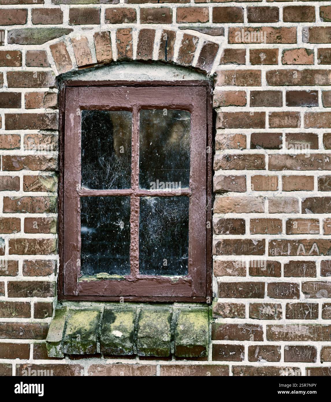 Dirt, window and frame with moss of abandoned house, damaged property ...