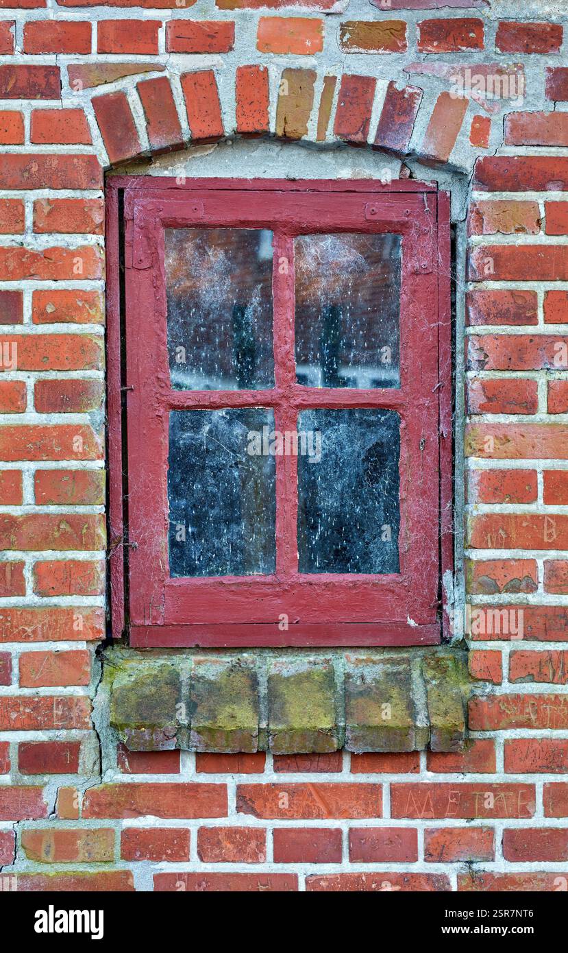 Dirt, damage or window with brick wall or moss of abandoned house ...