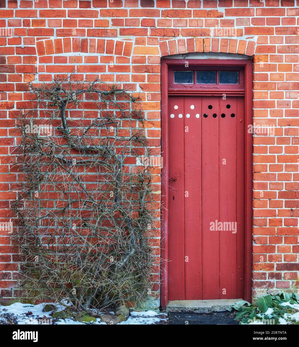 Red door, vines and secret passage with nature or hidden pathway for ...