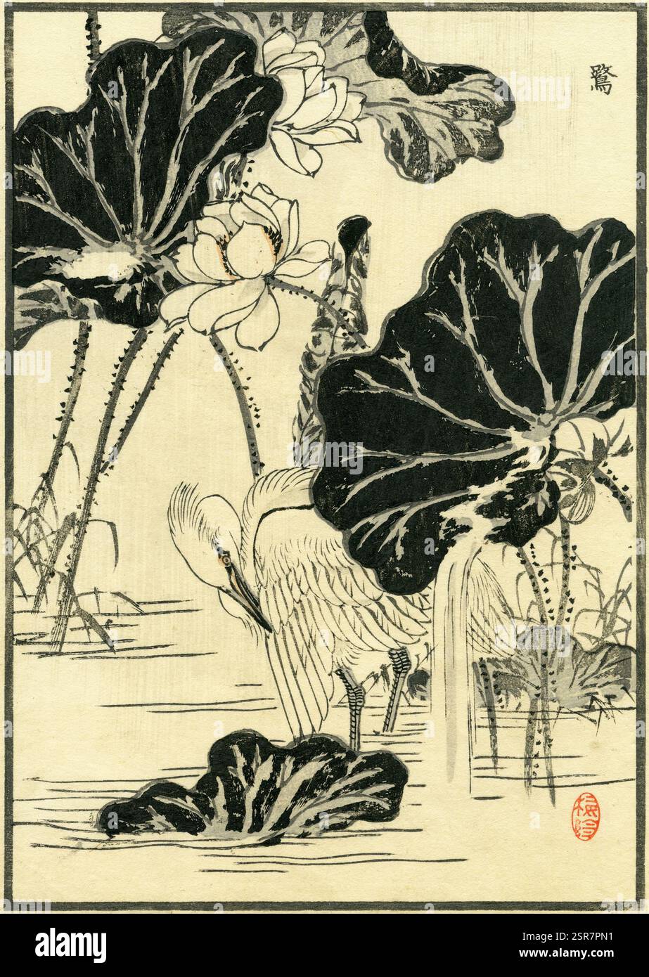 Egret and Lotus ( Egretta garzetta / Nelumbo nucifera) / Kono Bairei ...