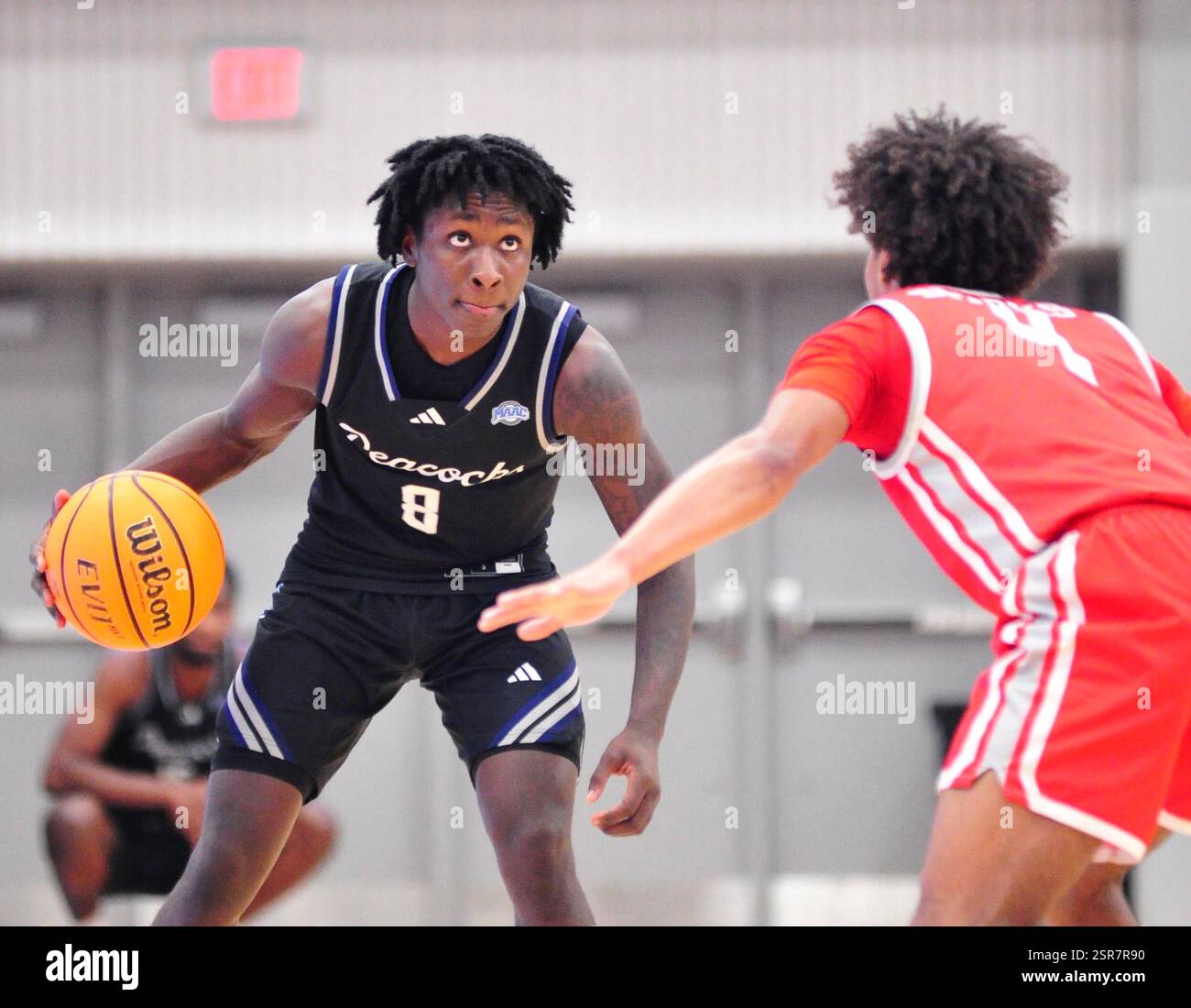 Jersey City, USA. 14th Feb, 2025. Saint Peter's Bryce Eaton (8) at the ...
