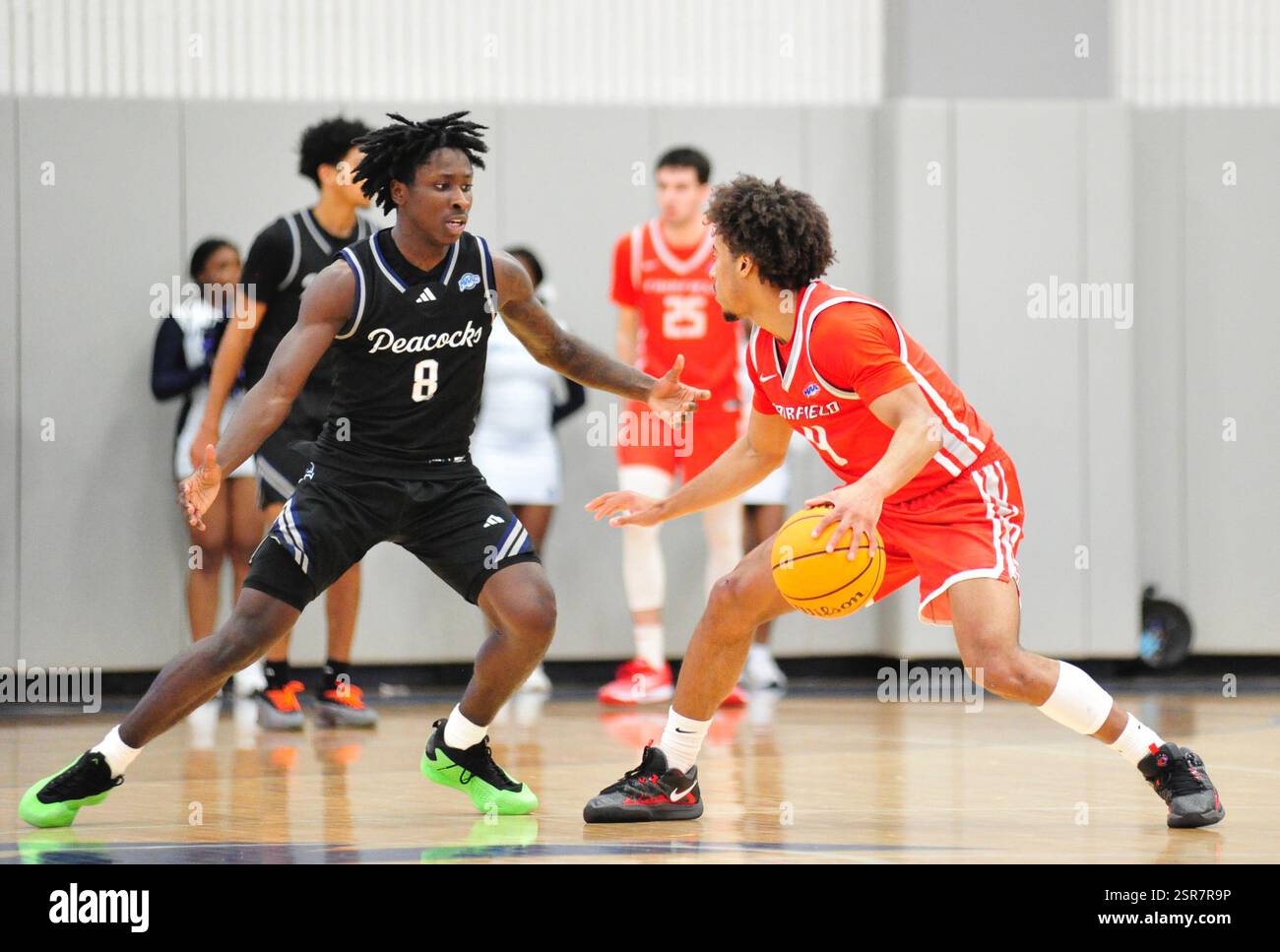 Jersey City, USA. 14th Feb, 2025. Saint Peter's Bryce Eaton (8) on ...