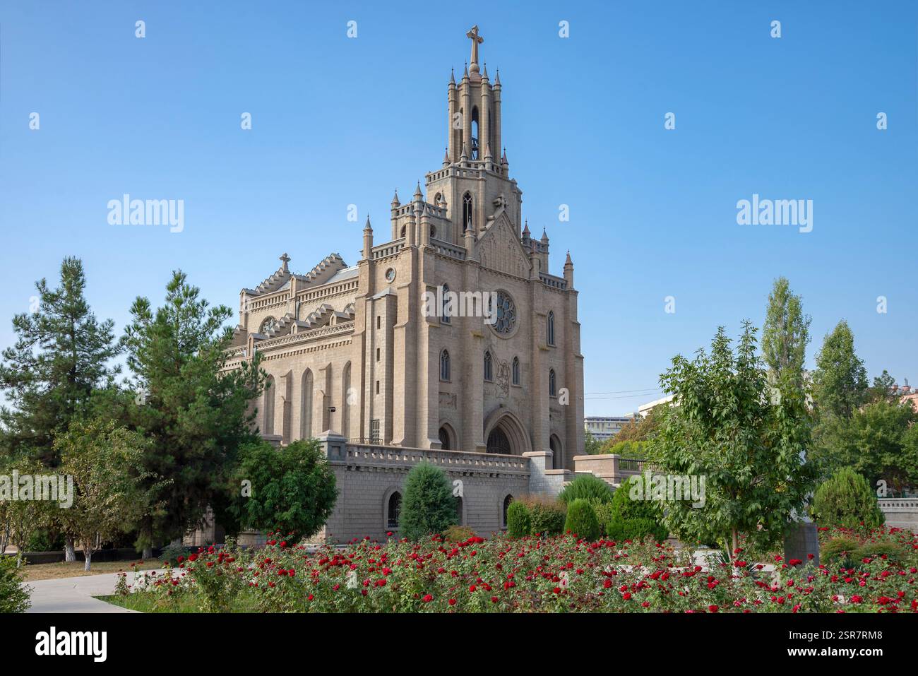 Red roses at the ancient Catholic cathedral of the Sacred Heart of ...