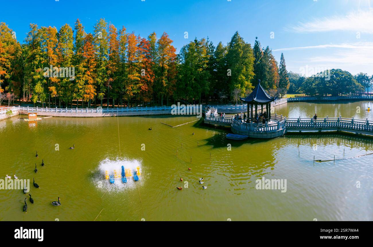 Scenery of Fuzhou National Forest Park, Fujian Province, China Stock ...