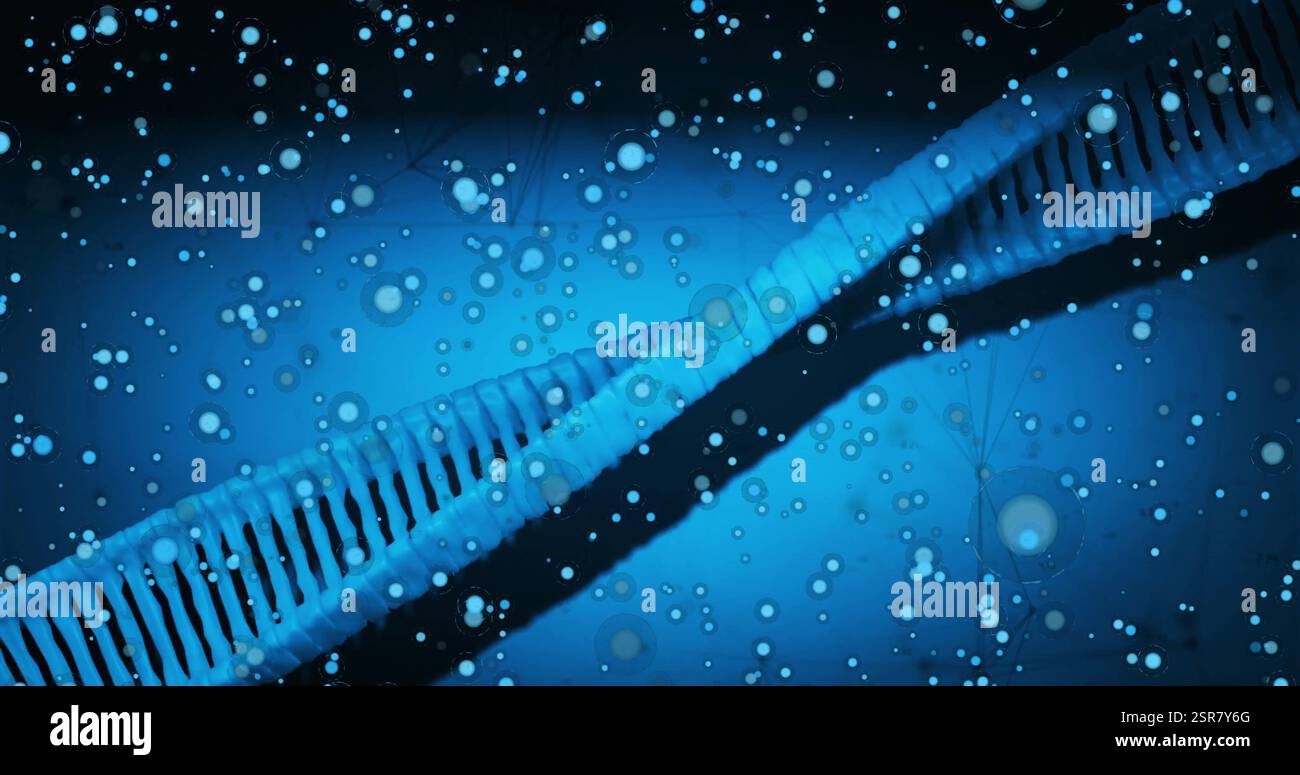 Image of network of connections over dna strand Stock Photo - Alamy