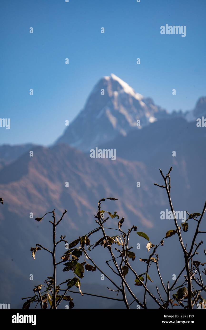 Majestic view of Srikantha and Gangotri peaks in the Garhwal Himalayas ...