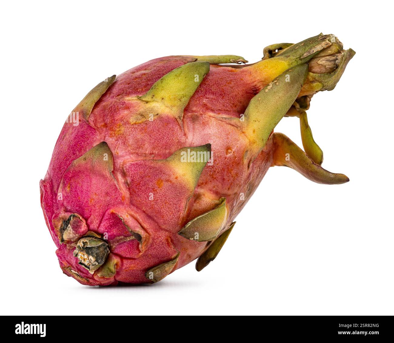 Vibrant whole red pitaya with unique skin texture and green leaves ...