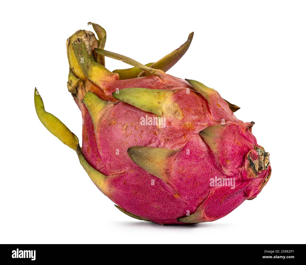 Vibrant whole red pitaya with unique skin texture and green leaves ...