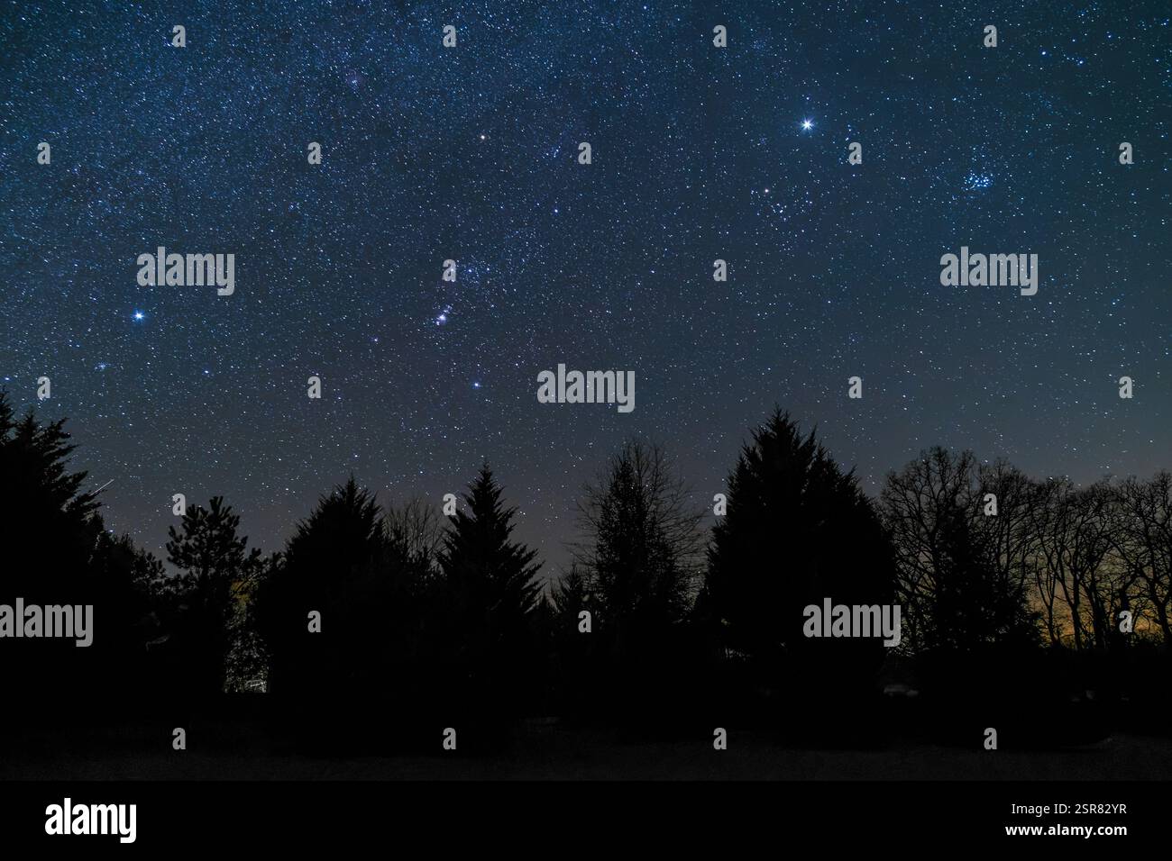 The planet Jupiter shining bright in the night sky next to the Pleiades ...