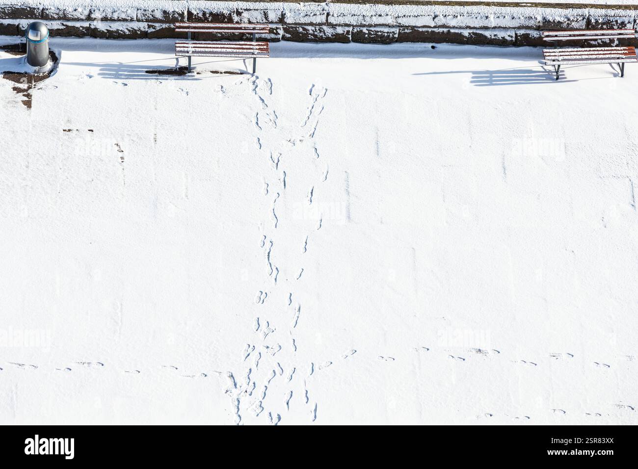 aerial of footsteps in white snow Stock Photo - Alamy