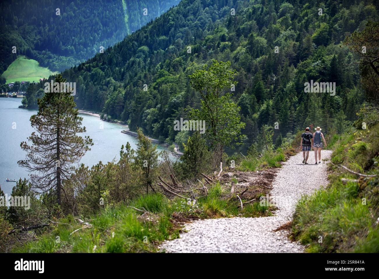 Achensee lake walking tour from Gaisalm to Pertisau. Achensee the ...