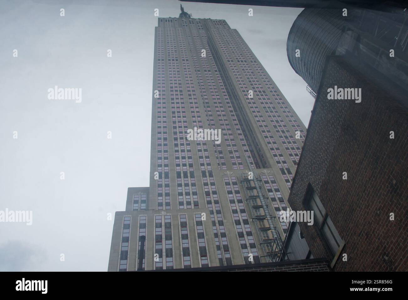 Manhattan's grin shines bright. A Black man, shaved head and beard ...