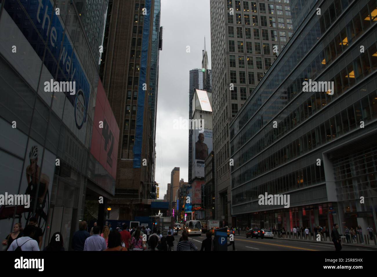 Manhattan watches from the shadows. A feline silhouette, perched on a ...