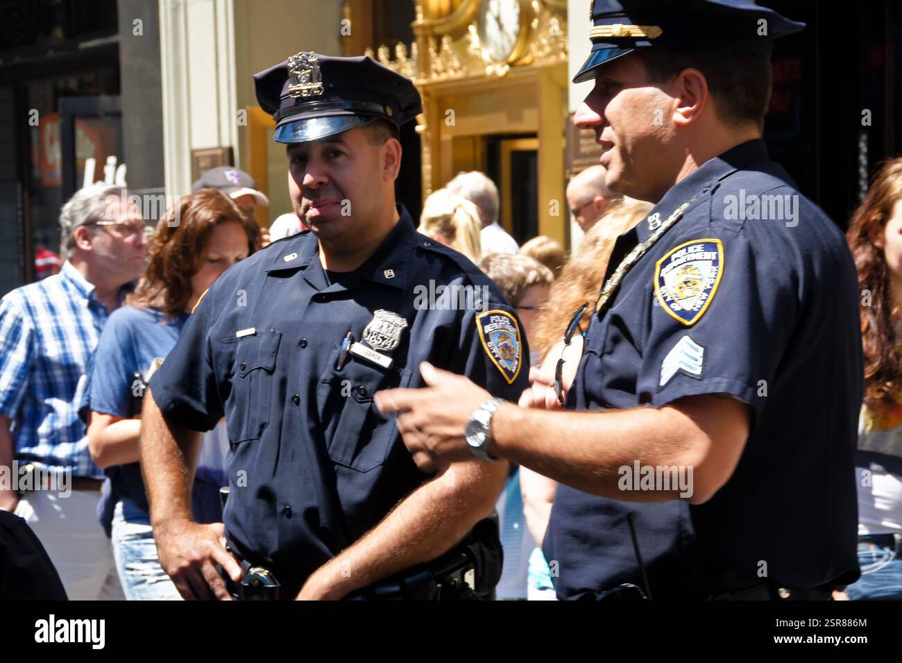License plate lookup hi-res stock photography and images - Alamy