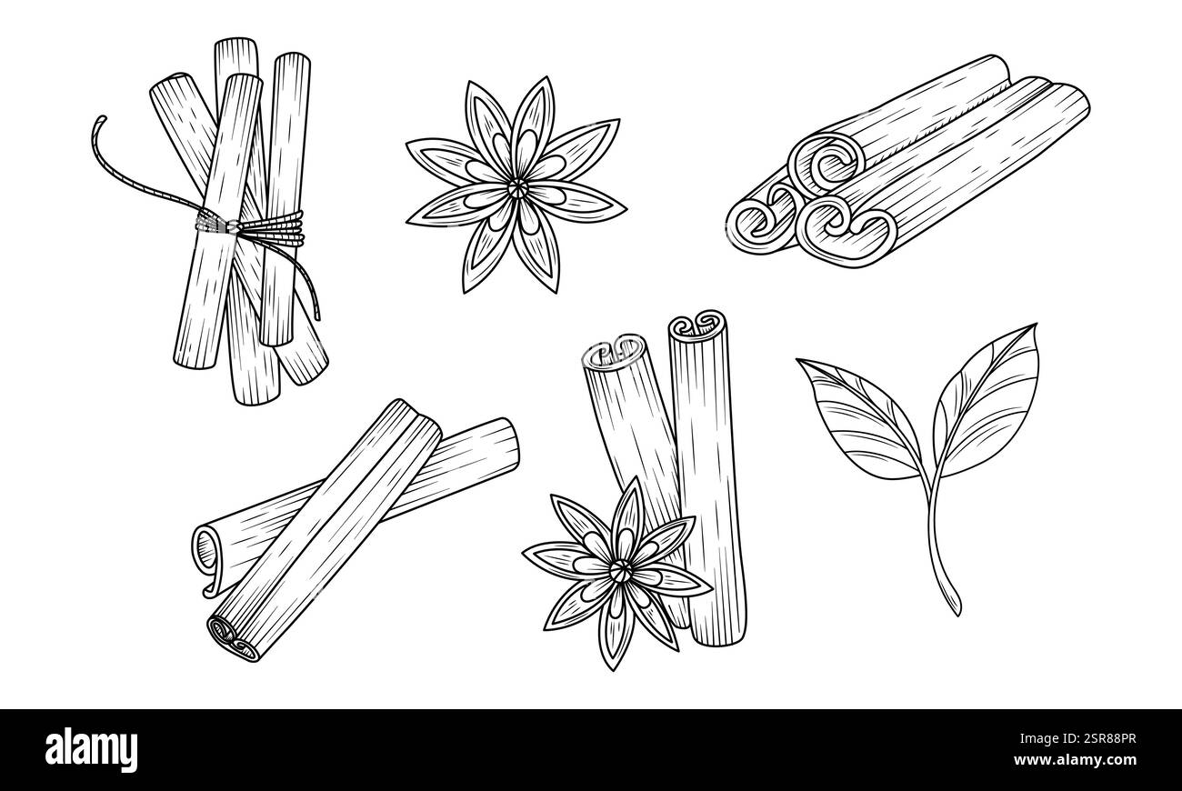 Cinnamon Vintage Sketch Stock Vector Image & Art - Alamy