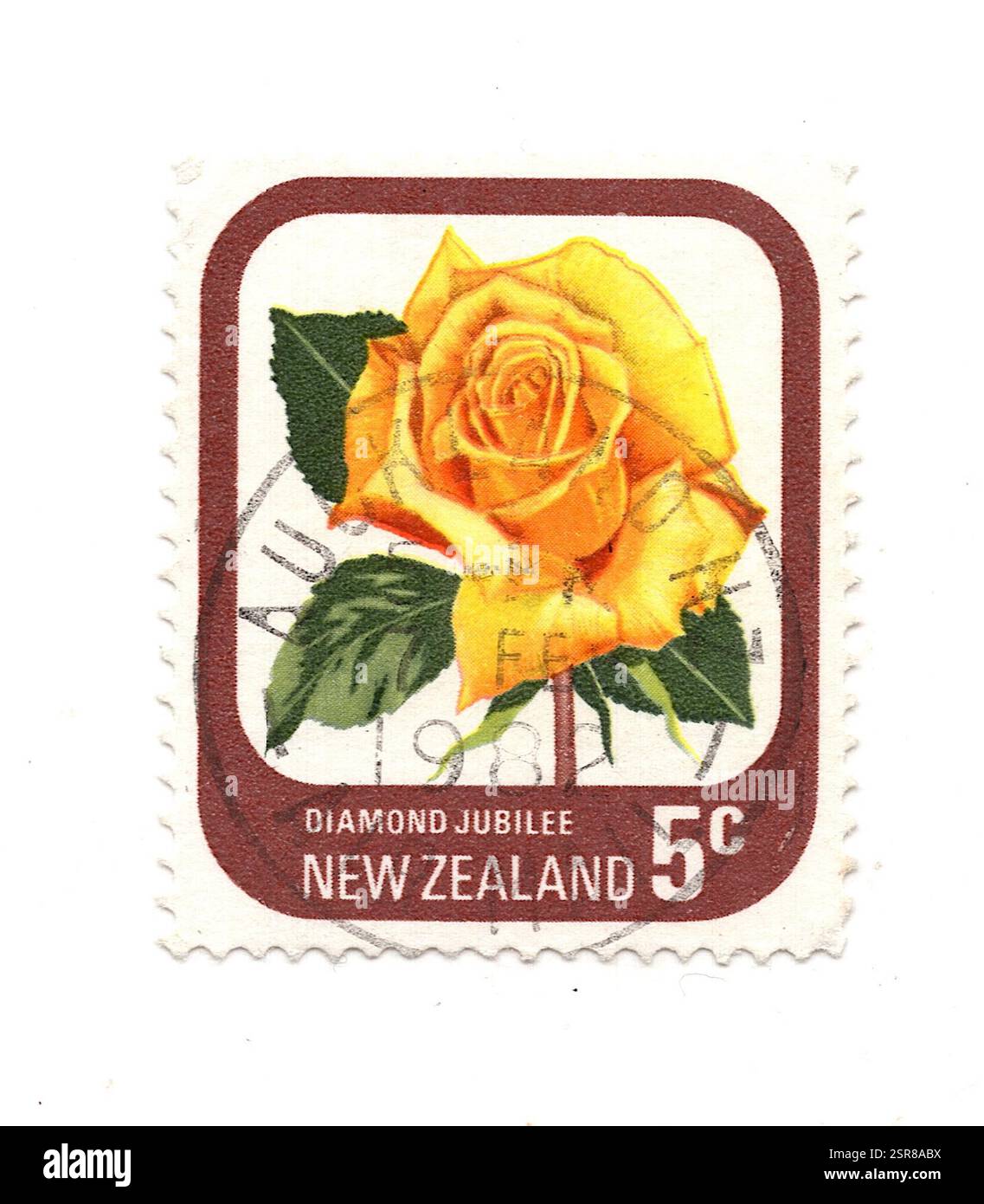 A vintage rose postage stamp from New Zealand isolated on a white ...