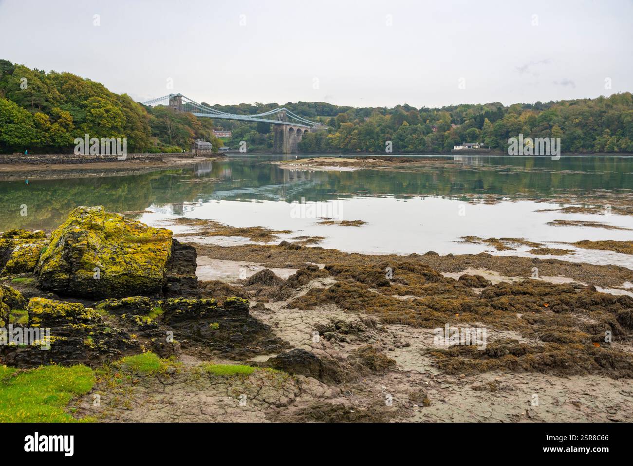 Menai Suspension bridge, Anglesey, North Wales Stock Photo - Alamy